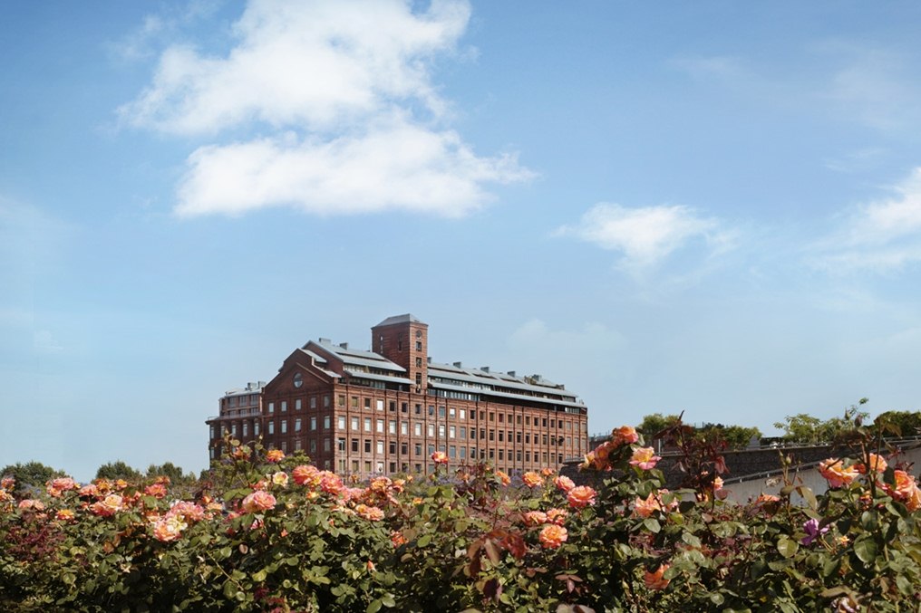 Faena Hotel & Universe | Rainbow Tours