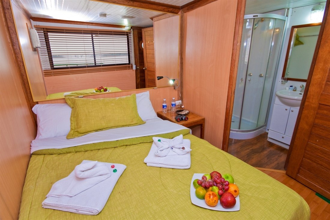 Manatee Amazon Explorer Cruise | Amazon River | Rainbow Tours