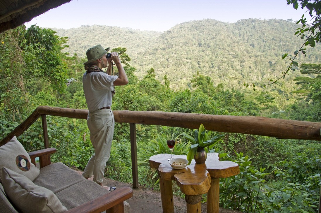 Sanctuary Gorilla Forest Camp | Rainbow Tours